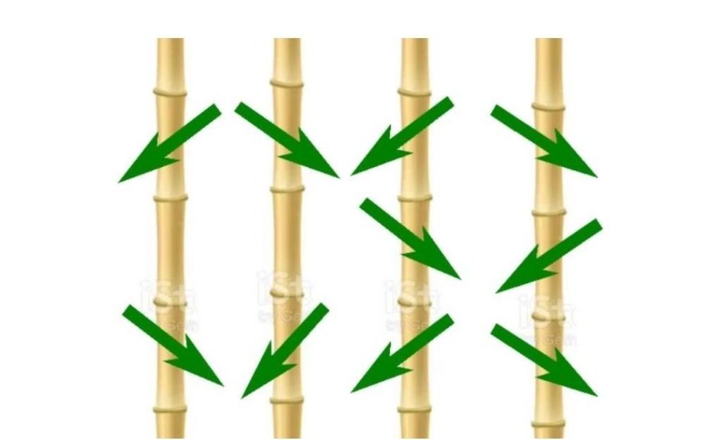 Requisitos para Exame de Dan – FPK & DA